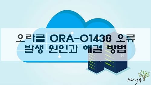 오라클 ORA-01438 오류 발생 원인과 해결 방법 - 느티나무 지식창고