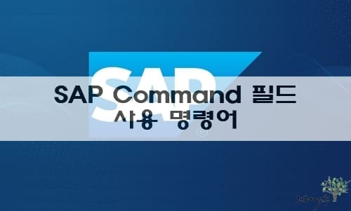 SAP Command(명령어) 필드에서 사용할 수 있는 명령어 옵션 설명 - 느티나무 지식창고
