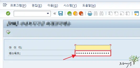 SAP ABAP 텍스트박스 입력을 비밀번호 형식 입력으로 변경 방법(Password TextBox)