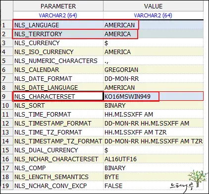 ORA-12705 Cannot access NLS data files or invalid environment specified